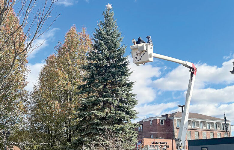 ‘Blue Christmas’ | News, Sports, Jobs - The Intermountain